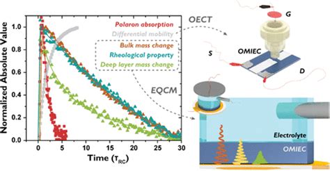 Mass And Charge Transport Kinetics In An Organic Mixed Ionicelectronic Conductor Chemistry Of