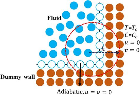 Dummy Boundary Particles Of The Isph Method Download Scientific Diagram