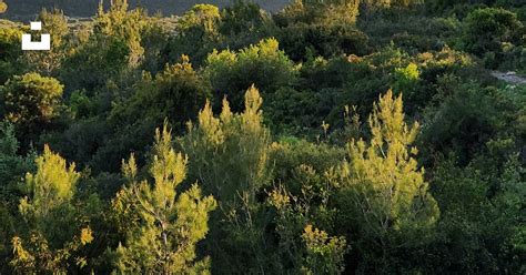 나무와 덤불이있는 풍경 사진 Unsplash의 무료 하이파 이미지