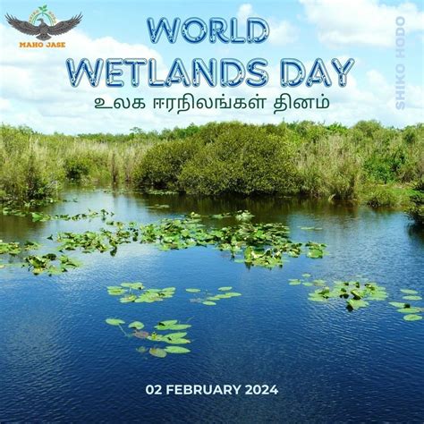 maho jase it on linkedin worldwetlandsday wetlands world mjit specialday importantday…