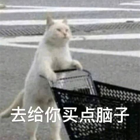 表情包 去给你买点脑子 拿图点赞、吱声 表情包 新浪新闻