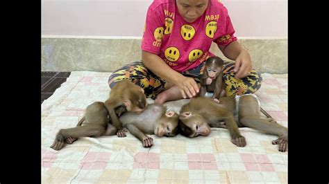 Sweetest Moment Sovan And Sovanny Sleep Very Relax And Comfortable While Mom Jula And Kobie Take