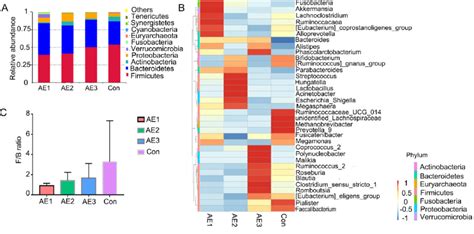 Relative Abundance Composition Of The Fecal Microbiome In Different Download Scientific Diagram