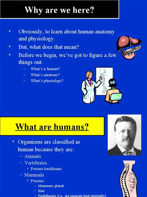 Pdf Anatomy And Physiology I Lecture Notes Introduction Dokumen