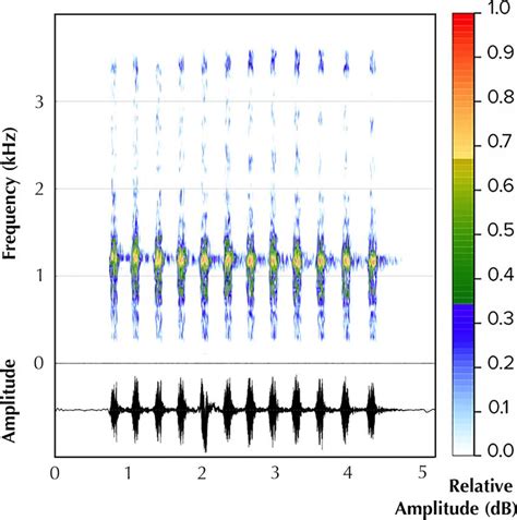 Comparative Spectrogram Frequency [khz] Versus Time [s] And Download Scientific Diagram