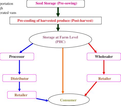 Conceptual Model Of Cold Chain Download Scientific Diagram