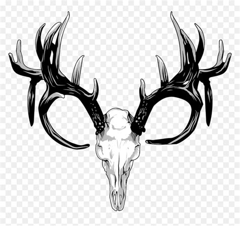 Skull Antlerss 3781862 Clipart Library