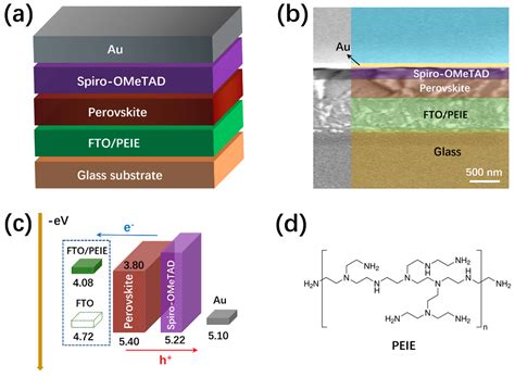 Electron Transport Layer Free Ruddlesdenpopper Two Dimensional Perovskite Solar Cells Enabled