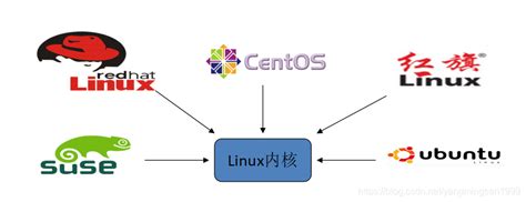 linux简介 csdn博客