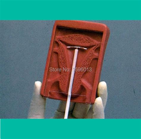 Iud Training Simulator Intrauterine Contraceptive Device Training