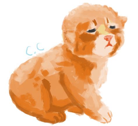 Рыжий котёнок рисунок Пикабу