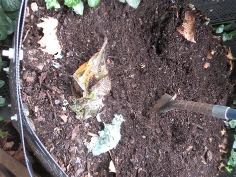 Plastics In My Finished Compost Crazy About Compost