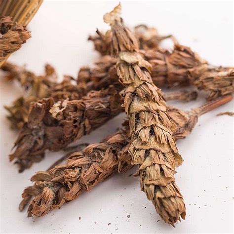 夏枯草的搜索結果 百度圖片搜索