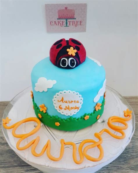 Ladybug Fondant Cake
