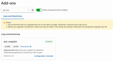 Monitor A Go Application Deployed In An Ack Cluster Application Real Time Monitoring Service
