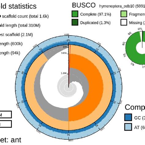 Snail Plot Of The Unfiltered C Pennsylvanicus Assembly Gc Content Is Download Scientific
