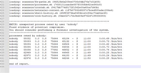 Output From Processes Sh Issue Mandiant Citrix Ioc Scanner Cve