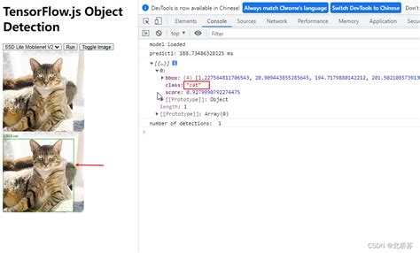 Tensorflowjs 视频图片多目标检测coco Ssd Csdn博客