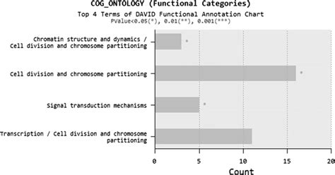 David Annotation Analysis For Functional Categories From Bn