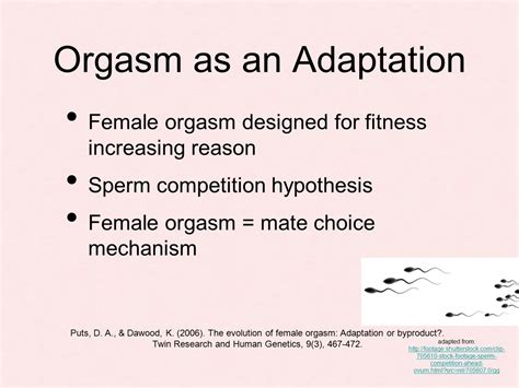 The Evolution Of The Female Orgasm Adaptation Or Byproduct Puts D A Dawood K