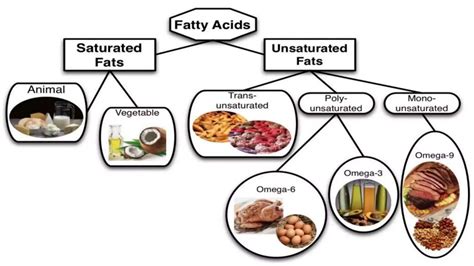CLASSIFICATION AND PROPERTIES OF FATS AND THEIR FUNCTIONS PPT