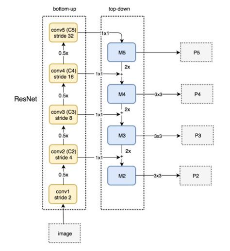 4 Top Down And Bottom Up Pathways Architecture In Resnet 26 Download Scientific Diagram