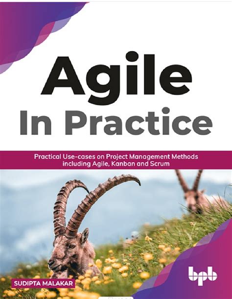 Agile In Practice Practical Use Cases On Project Management Methods Including Agile Kanban And