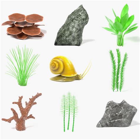 Elements Elements Free 3d Models Download Free3d
