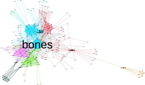 The Network Colored By Modularity And Nodes Resized By Their Relative