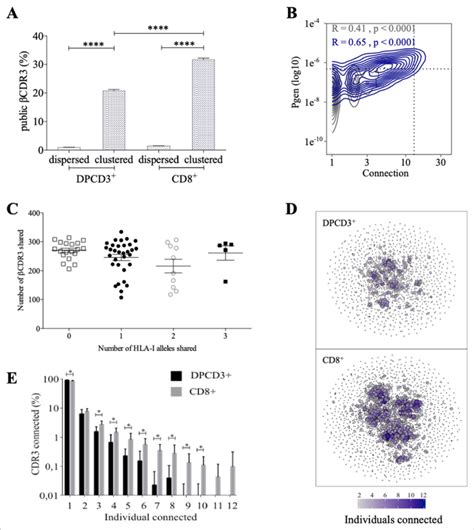 Thymocyte Differentiation Produces Clustered Cdr3s With High