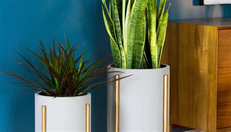 Mid Century Planters Our Favorites For The Modern Home Mid Century