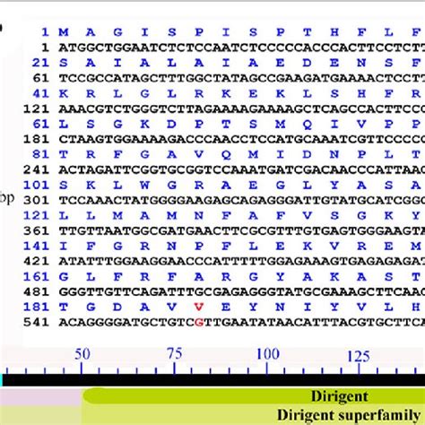fluorescence activated cell sorting facs workflow a transgenic download scientific diagram