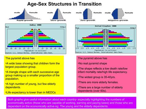 Population Structure Ppt