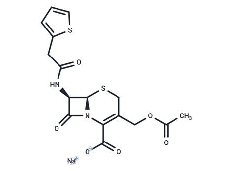 Cephalothin Sodium 头孢噻吩钠 Antibiotic Antibacterial Targetmol