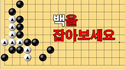바둑 묘수 사활 정말 놀라운 묘수가 있습니다 백을 잡아보세요~ Youtube