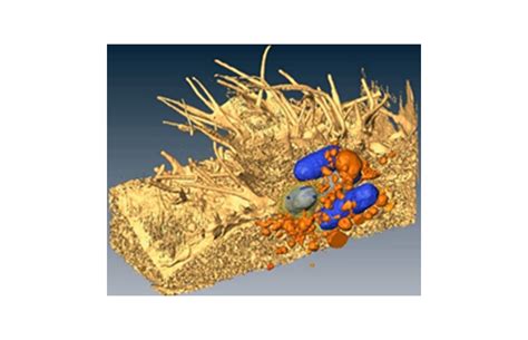 Electron Microscopy FIB SEM Volume Imaging At Room Temp Cryo