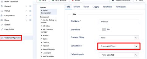 Setting The Editor As Default WebX Support