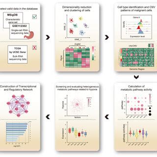 Schematic Diagram Of The ScRNA Seq Data Analysis Pipeline Download Scientific Diagram