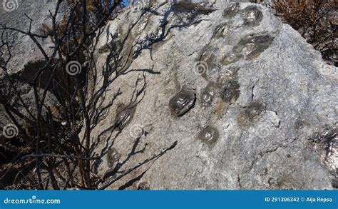 Birthing Stones Unique Geological Phenomenon Stock Photo Image Of Branch Geopark