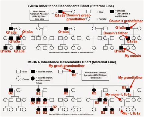 Roots And Recombinant Dna Native American Dna Is Just Not That Into You