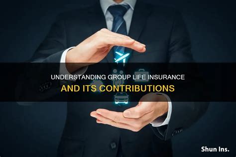Understanding Group Life Insurance And Its Contributions Shunins
