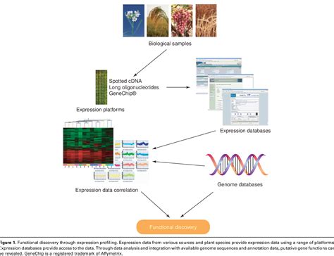 Figure 1 From Microarray Expression Profiling Resources For Plant
