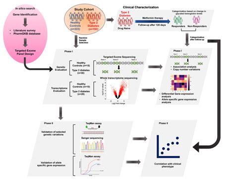 J Endocrinol Invest ：遗传变异、差异基因表达和等位基因特异性表达对未用药的2型糖尿病患者使用二甲双胍治疗反应的影响
