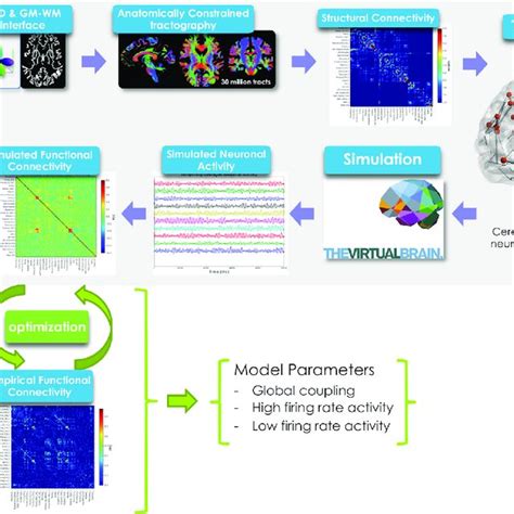 Schematic Representation Of The Experimental And Modeling Workflow Download Scientific