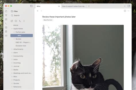 How To Export Apple Notes Zapier