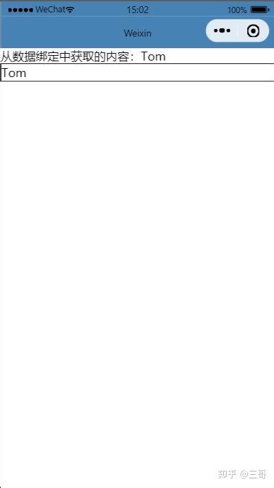 微信小程序：输入框输入的内容实时的更新到数据绑定中 知乎