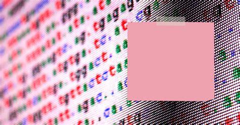 How To Fix Python Setuppy Bdistwheel Did Not Run Successfully Error