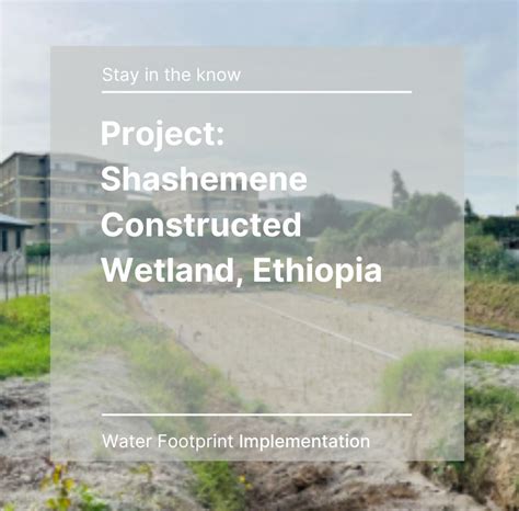 Update Water Footprint Compensation Projects 🌍 Shashemene Constructed