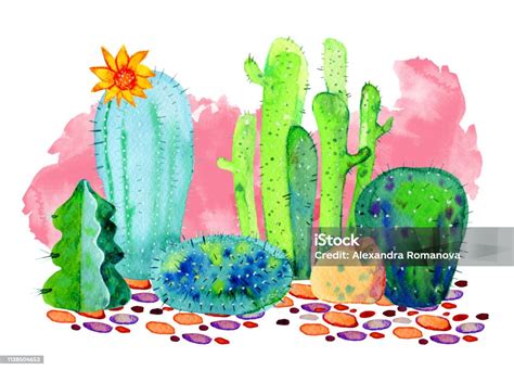 선인장의 그룹은 돌에 사용 됩니다 핑크 얼룩 수채화 손으로 그린 컬러 스케치 그림 가정 생활에 대한 스톡 벡터 아트 및 기타 이미지 가정 생활 개체 그룹 구도
