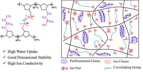 Polymers Free Full Text Crosslinked Polynorbornene Based Anion